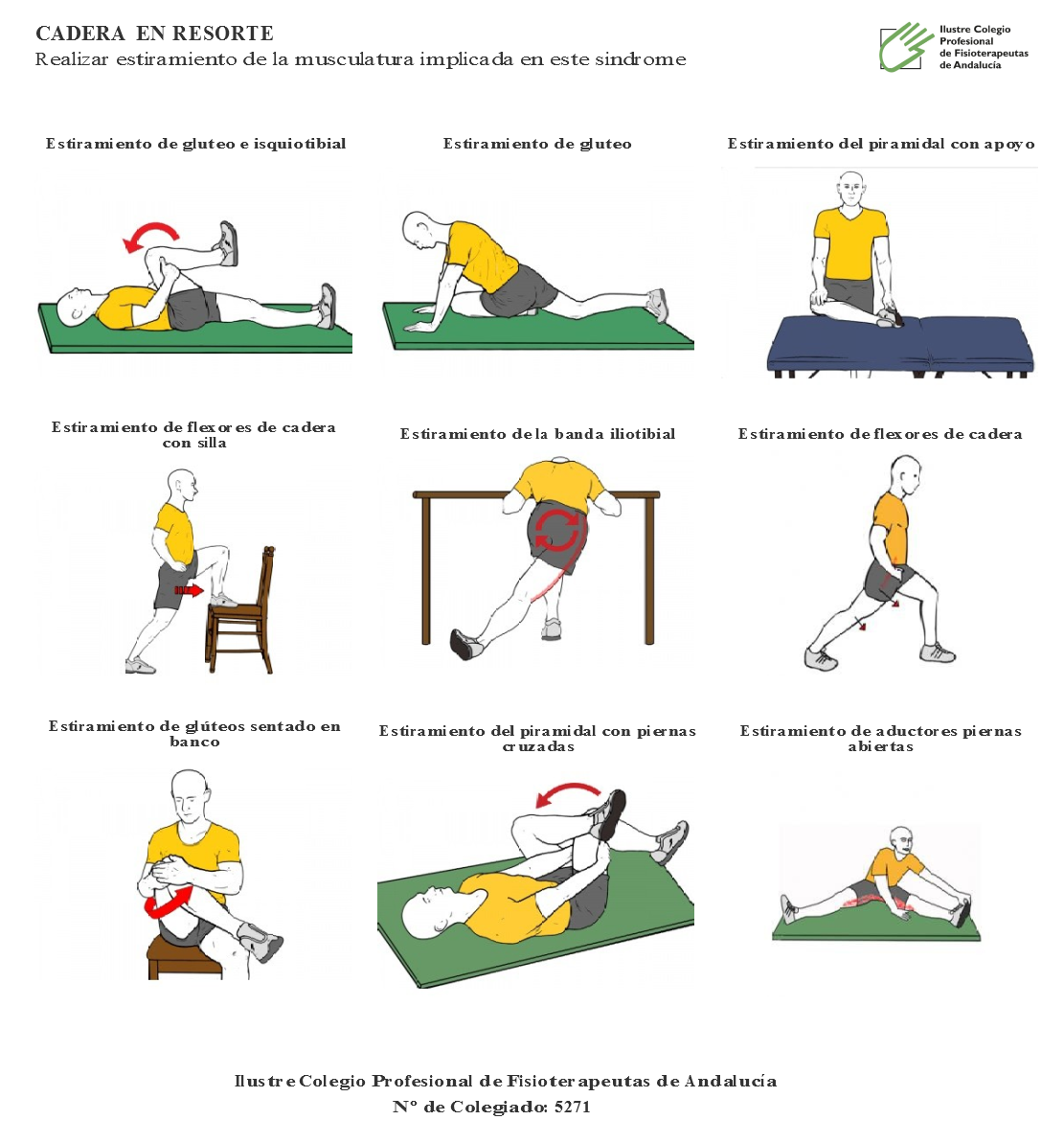 Ejercicios De Flexin De Cadera Youtube