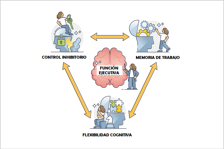 Funciones Ejecutivas Entrenamiento En Funciones Ejecutivas.
