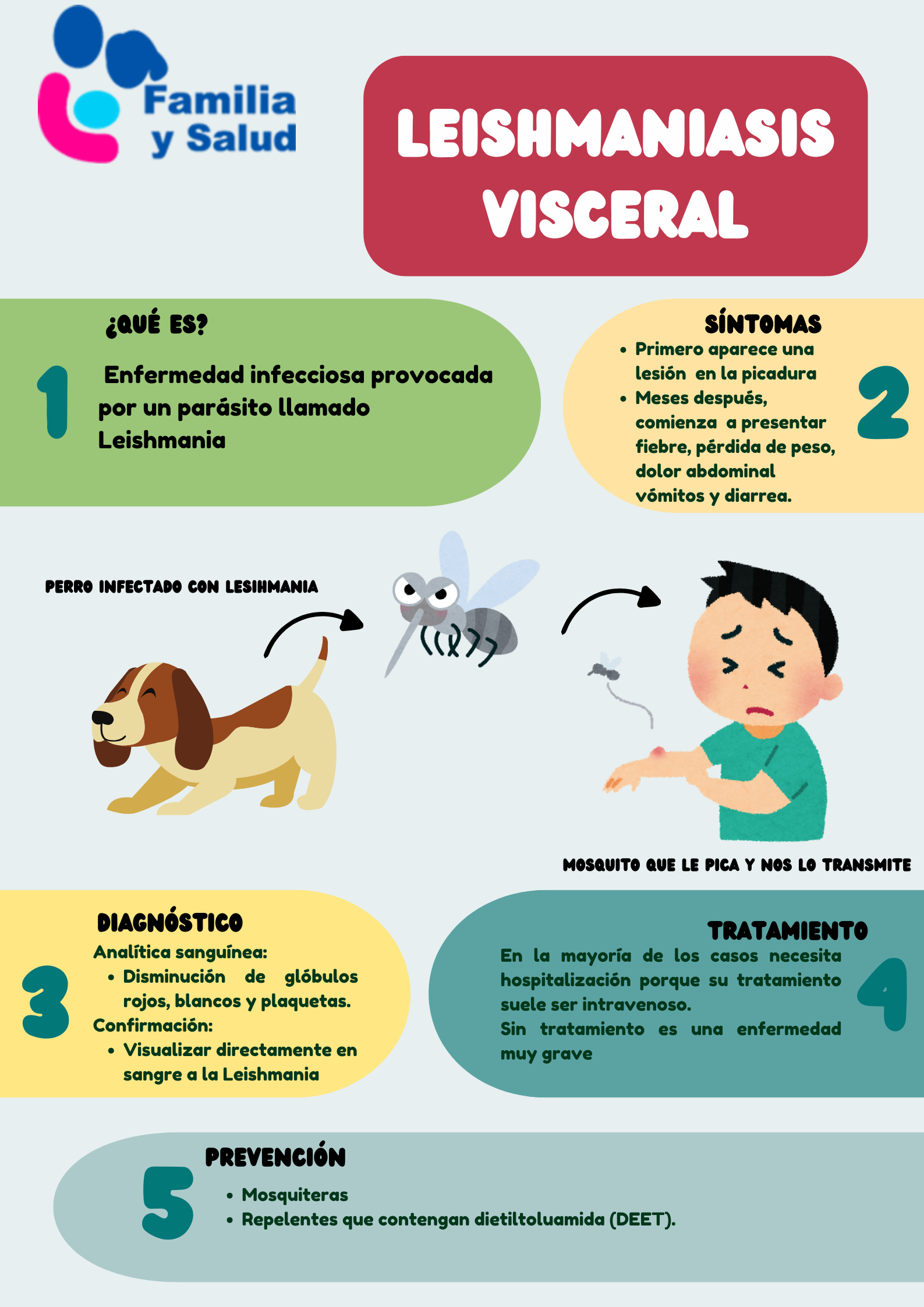 Leishmaniasis visceral | Familia y Salud