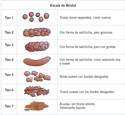 qué es la escala de Bristol | uDocz