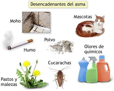¿Qué son los desencadenantes en el asma? | Familia y Salud