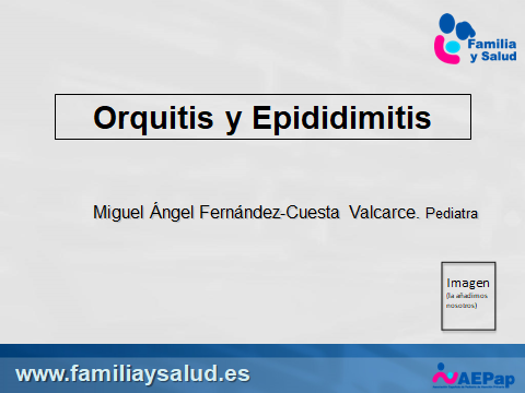 Orquitis y Epididimitis | Familia y Salud