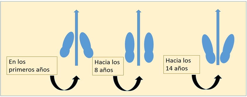 El niño mete el pie | Familia y Salud