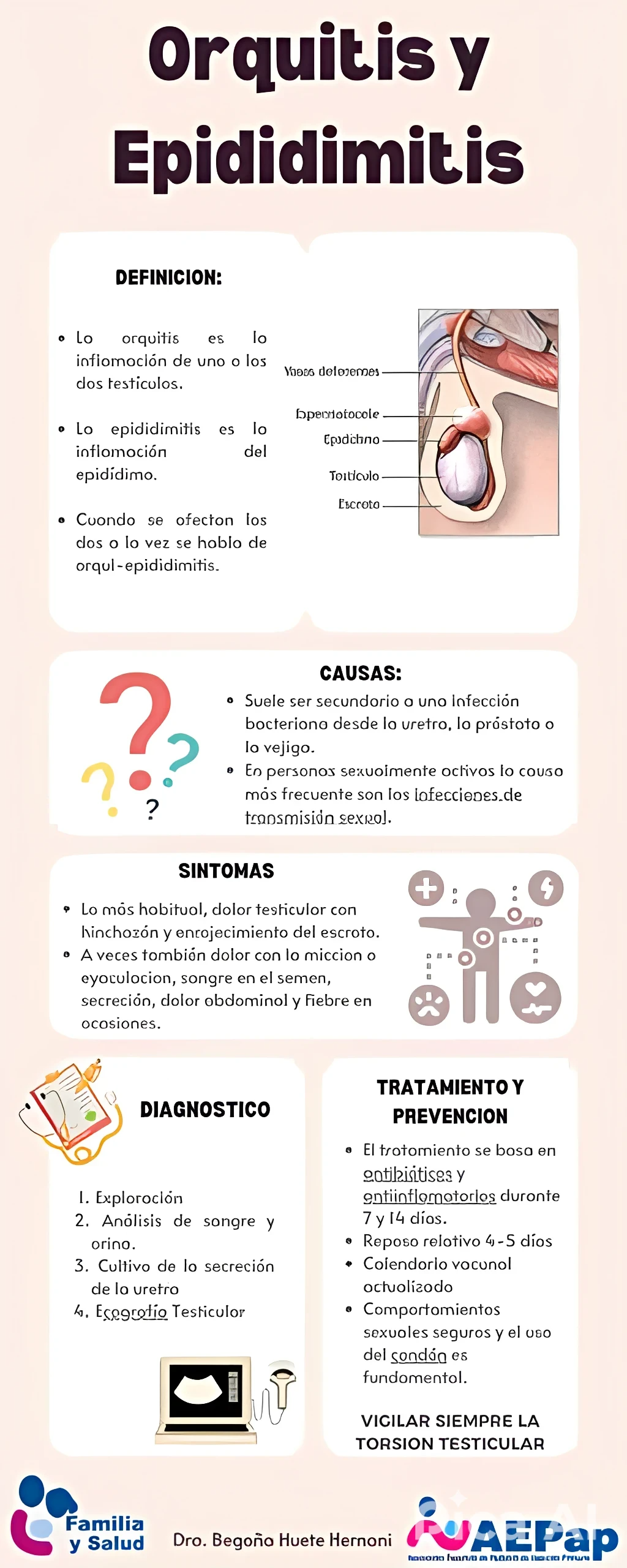 Orquitis y epididimitis. ¿Qué son? | Familia y Salud